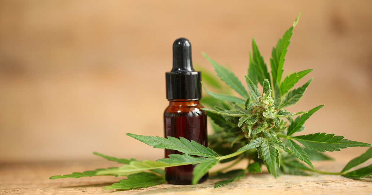 Navigating the Florida Medical Marijuana Landscape